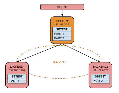 SPIDER 엔진을 이용한 샤딩 환경 구축 #01 - RastaLion.dev